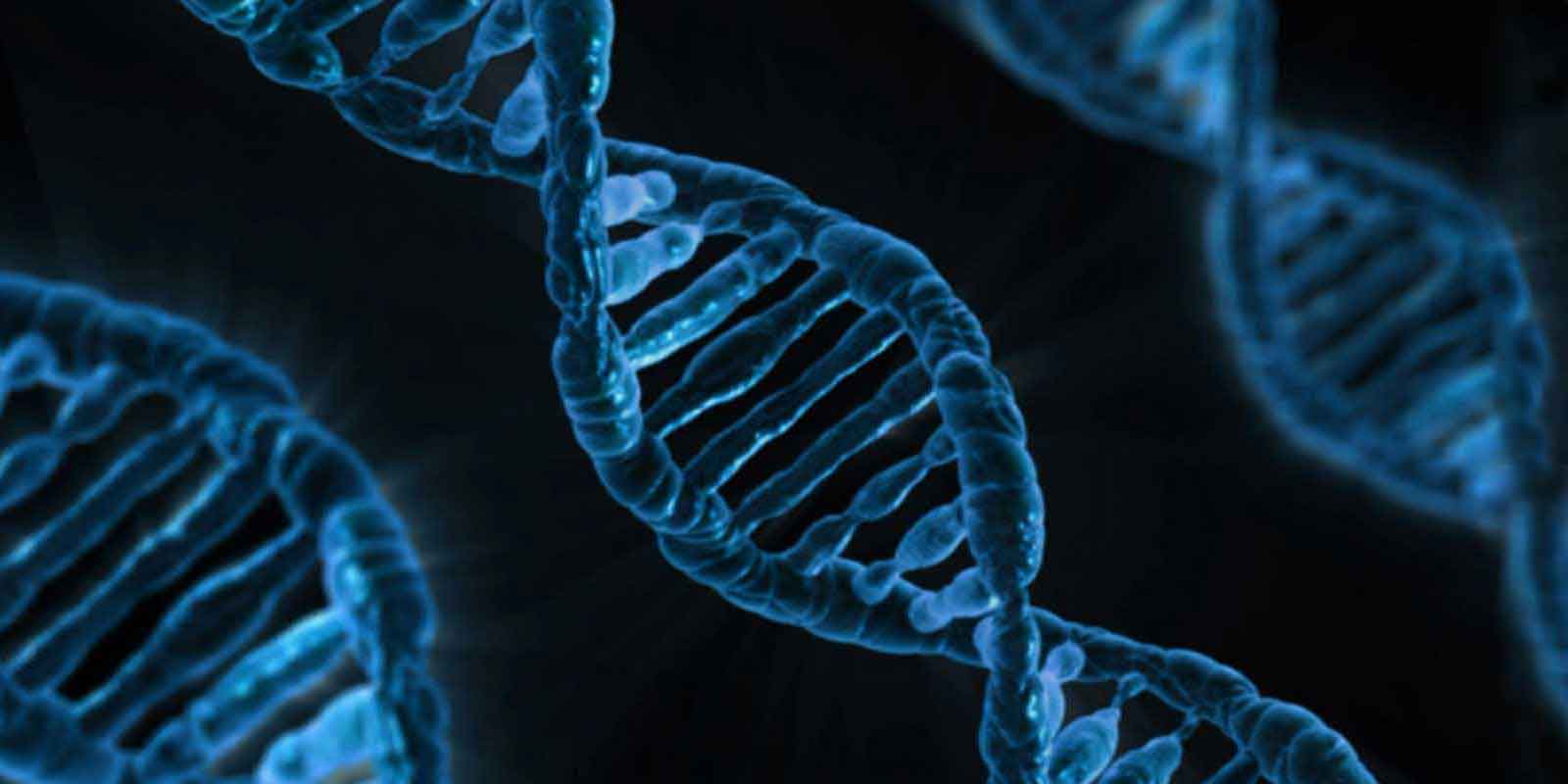 Pleiadian Alchemy: DNA, Energy, Sacred Geometry & Shamanic Healing